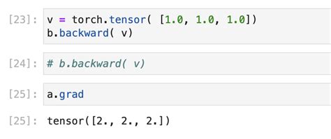 Pytorch Gradient Runtimeerror Part 1 2022 Fastai Course Forums