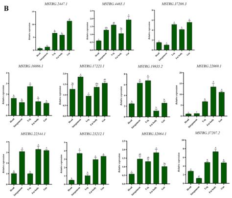 Insects Special Issue Insect Genome And Transcriptome Data
