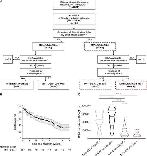Missing Self Induced Activation Of NK Cells Combines With No