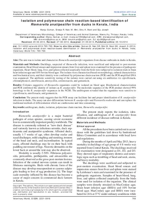 Pdf Isolation And Polymerase Chain Reaction Based Identification Of Riemerella Anatipestifer