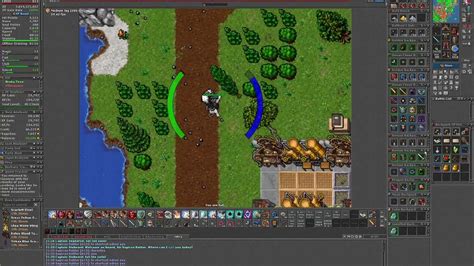 Tibia Boss Rotation 1200 Points Only 20 Mins Daily Youtube