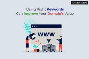 How To Measure The Domain Value Why Is It Important