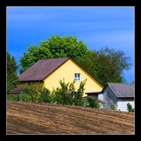 Alexander A Dyachenko