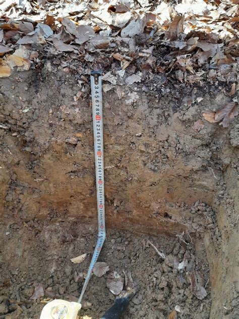 Дейности по проекта Проучване на взаимовръзки в системата „почва почвени микроорганизми