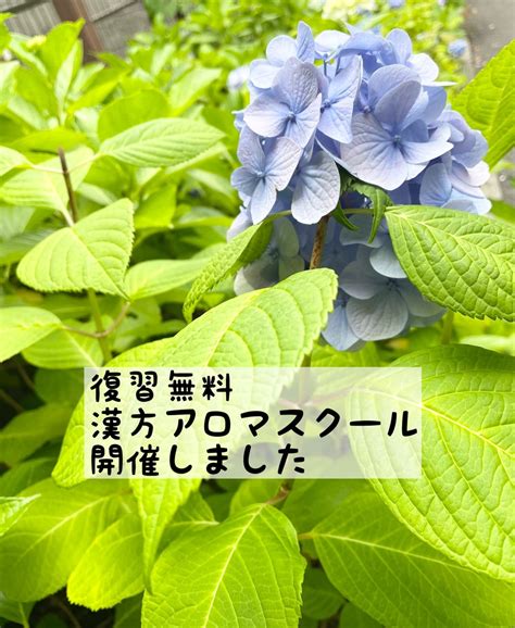 漢方アロマスクール 復習生徒さんも参加可能です 漢方アロマスクール 漢方薬店 あすなろ