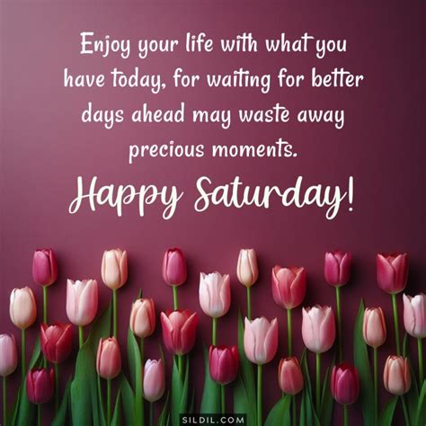 180 Happy Saturday Greetings Wishes Messages And Quotes