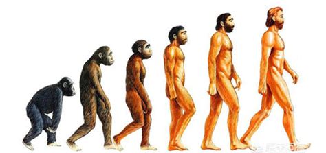 El Origen Del Hombre