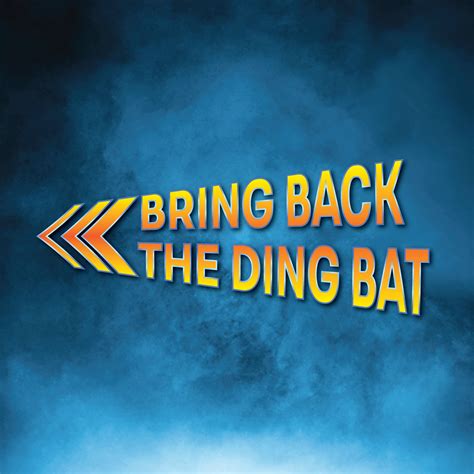 Bring Back The Ding Bat Pottsville Beach Sports