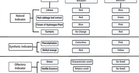 Notes Of Ch 2 Acids Bases And Salts Class 10th Science Study Rankers