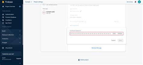 firebase configuration kivicare