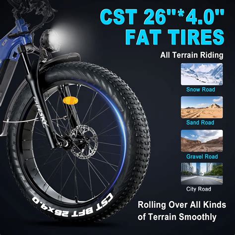 Freesky Wild Cat Pro Electric Bike For Adults 48v 20 Ah Samsung Cells