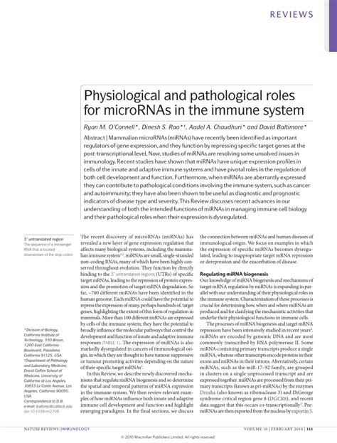 PDF Physiological And Pathological Roles Of MicroRNAs In The Immune System