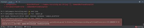 Goland运行项目报错：createprocess Error216 该版本的 1 与你运行的 Windows 版本不兼容。请查看