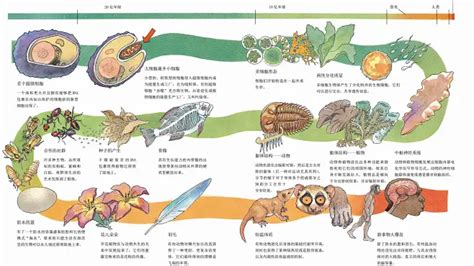 《生命的运作方式》·基因·起源·演化不仅仅是生命也是整个预祝的自我治理过程，也是一个试错过程 花瓣网