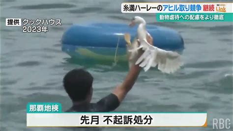 「アヒル取り競争」は動物虐待？ 波紋広げた糸満ハーレーの伝統行事 配慮して実施へ Youtube