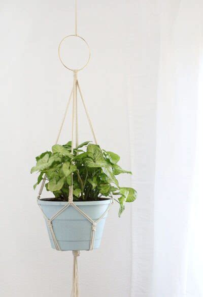 6 Ideas Para Hacer Maceteros Caseros Colgantes Decora Ideas
