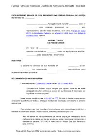 Modelo Habeas Corpus Clínica de reabilitação Ausência de motivação