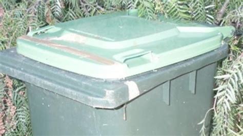 Sheree Glastonbury Pleads Not Guilty To Wheelie Bin Murder