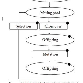 A Memetic Algorithm Template Download Scientific Diagram