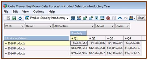 using subsets in excel based tm1 reports and cube views
