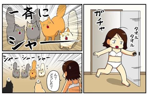 ＜画像25 199＞19匹の猫と暮らす猫まみれの幸せな日常漫画【もちこmogutchecho】｜ウォーカープラス
