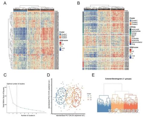 最新1区9 2分sci，基于代谢通路对肝癌进行分型，进而进行后续的实验。不会设计实验的朋友可以参考了（换个肿瘤可重复！） 知乎