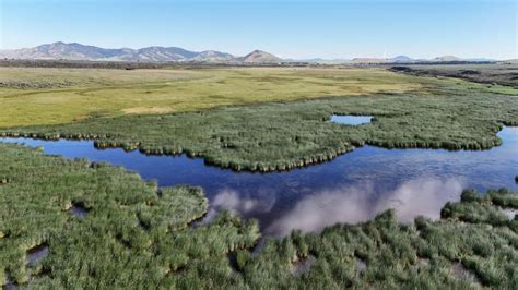 Exciting Project Reduces Emissions At Redwater Nutrien