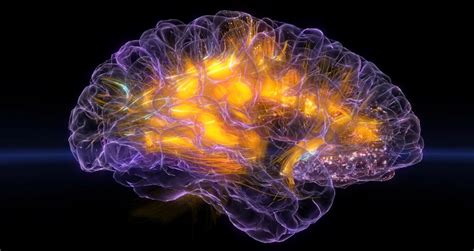Technology Neuroscape