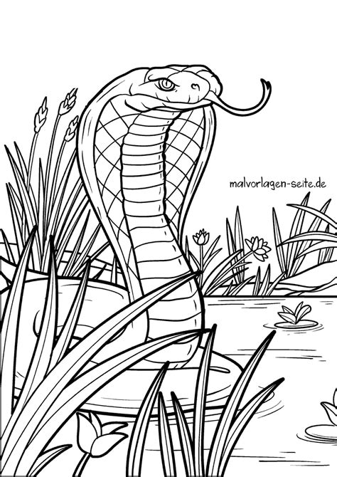 Malvorlage Kobra Ausmalbild Kostenlos Herunterladen