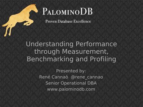 Understanding Performance Throughmeasurement Pdf Databases