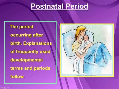 Embriology Of Human Ppt