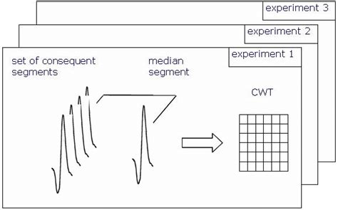 Schematic Diagram Of Preprocessing Data For Continuous Wavelet
