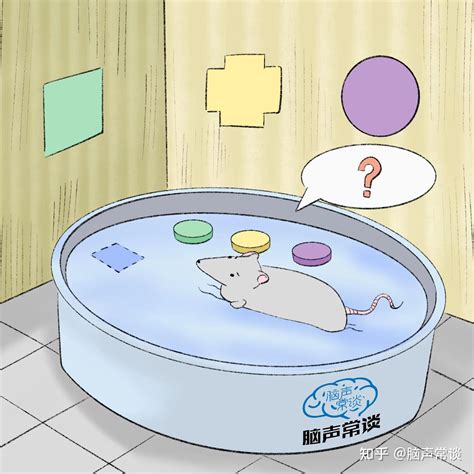 脑声常谈动物行为实验指南浅析Morris水迷宫实验数据如何统计分析 知乎