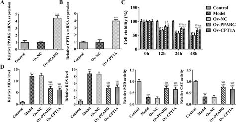 Pparg Overexpression Or Cpt1a Overexpression Increases The Viability