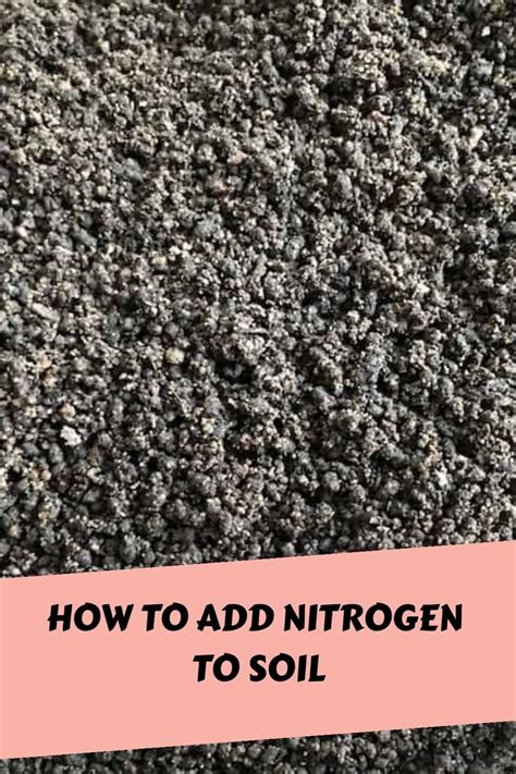 How To Add Nitrogen To Soil Nitrogen For Plants Organic Plants Organic Lawn