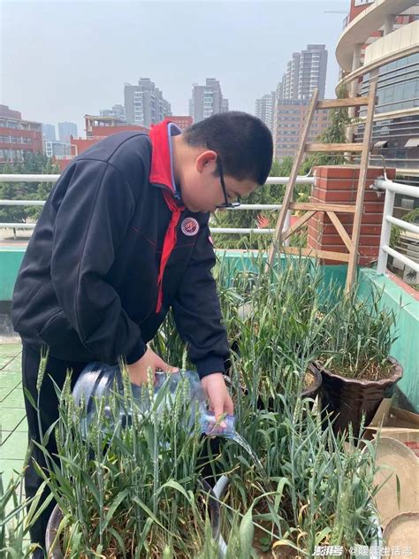珍惜盘中餐——这是对袁隆平老先生最好的纪念澎湃号·湃客澎湃新闻 The Paper
