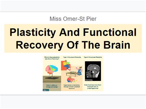 Biopsychology 7 Plasticity And Functional Brain Recovery Teaching