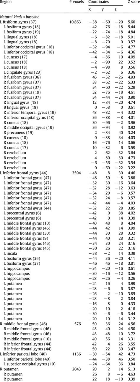 Fmri Activations Results In Young Adults For Natural Kinds And Download Scientific Diagram