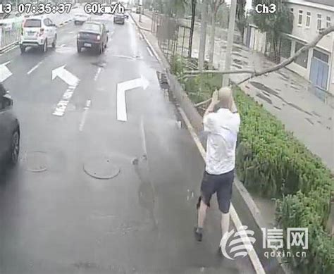 大风刮断树枝摇摇欲坠 公交驾驶员及时出手消除隐患吴军李沧车辆