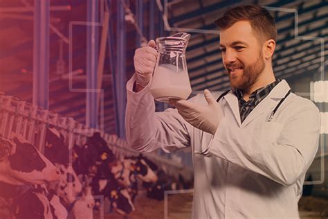 O Futuro Da Produção De Leite Adeus Aos 305 Dias Tradicionais Googado