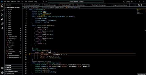 Java Programming Learningjourney Accomplishment Nithya Shree S