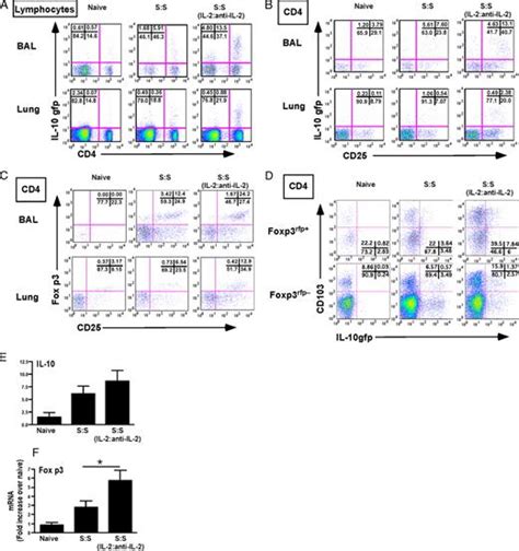 Suppression Of Murine Allergic Airway Disease By Il 2 Anti Il 2