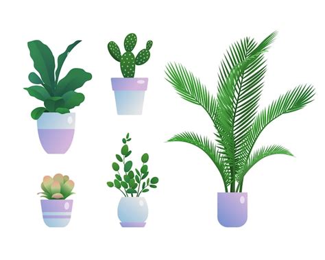 Premium Vector Houseplants In Flowerpots Set
