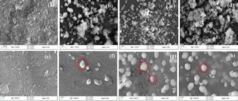 Sem Micrographs Of A γ Al2o3 B 2 5 Fe γ Al2o3 C 5 Fe γ Al2o3 D Download Scientific Diagram