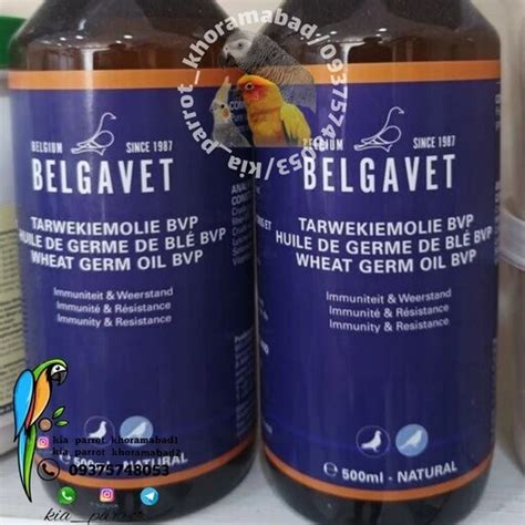 خرید و قیمت روغن جوانه گندم پرندگان ویجرم بلگاوت بلژیکwheat Germ 10