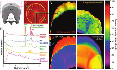 Synchrotron X Ray Diffraction Xrd Analysis And Distribution Of