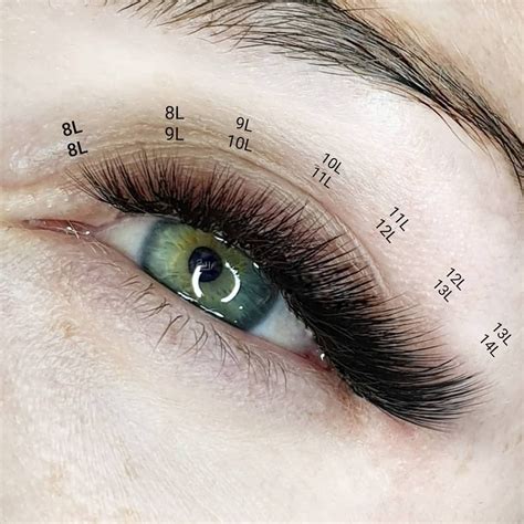 How To Use L Curl Lashes Eyesy Lash