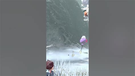 Shiny Alpha Drifloon Shorts Youtube