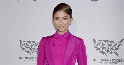 Zendaya Responds To Troll Gay Makeup Comment