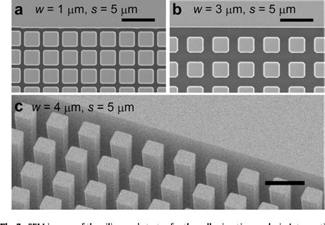figure 1 from characteristics of motility based filtering of adherent